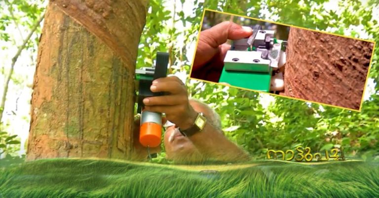 Rubber Board introduces a new system of tapping - Home Pictures :: Easy ...